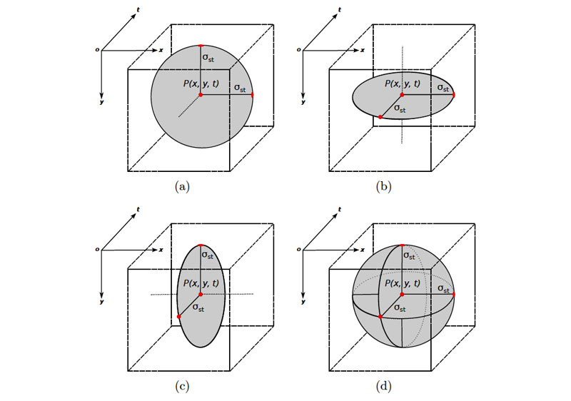 TRoF | Daniel Moreira