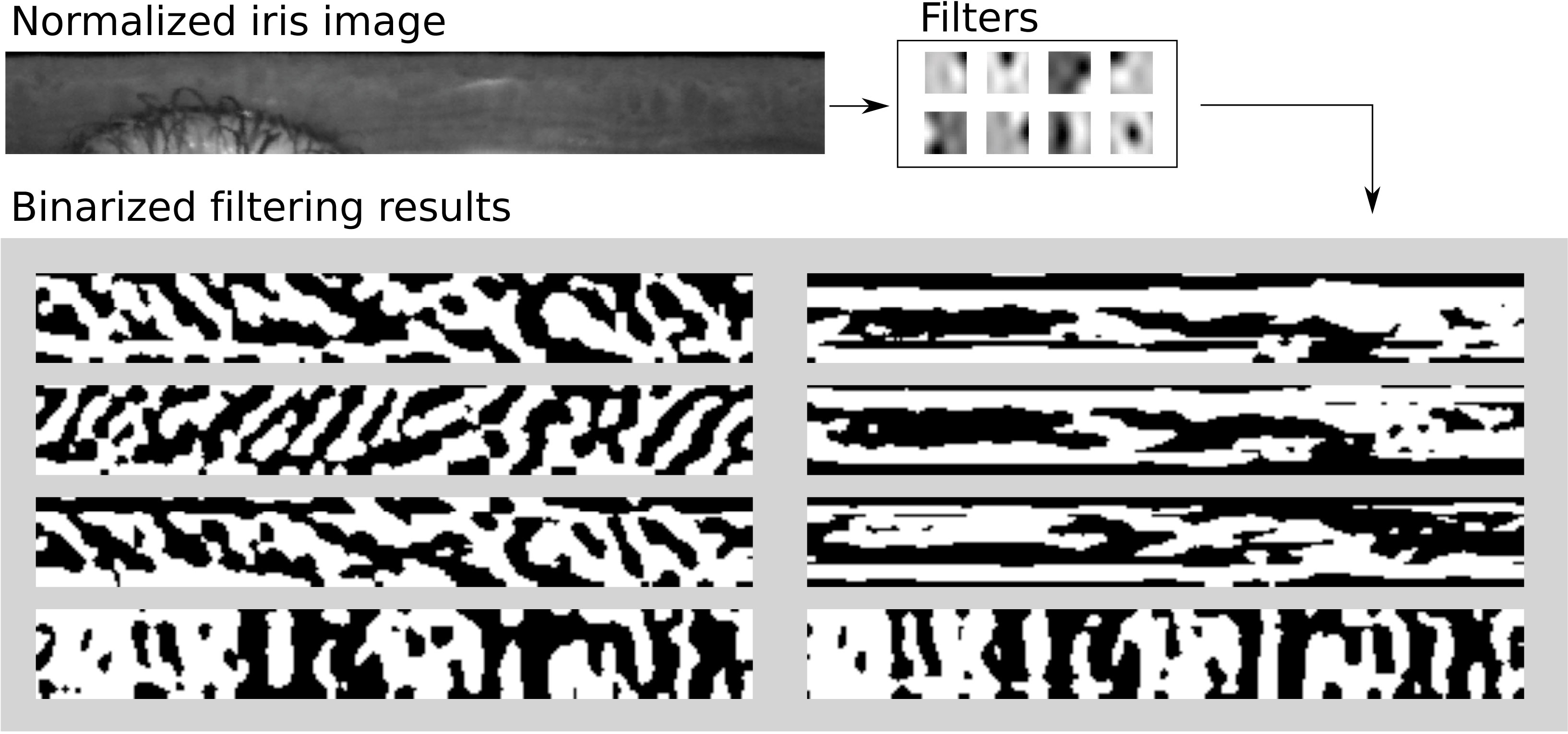 Domain-Specific Human-Inspired Binarized Statistical Image Features for Iris Recognition ...