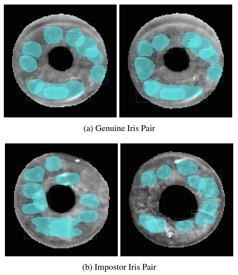 Human Saliency-driven Patch-based Matching for Interpretable Post ...