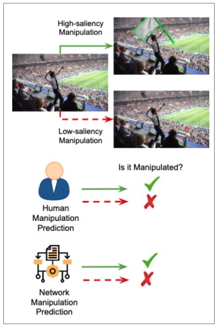 Exploring Saliency Bias in Manipulation Detection | Daniel Moreira